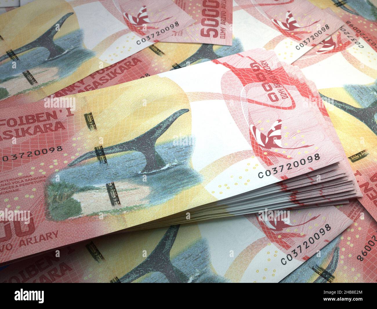 Money of Madagascar. Malagasy ariary bills. MGA banknotes. 5000 ariary ...