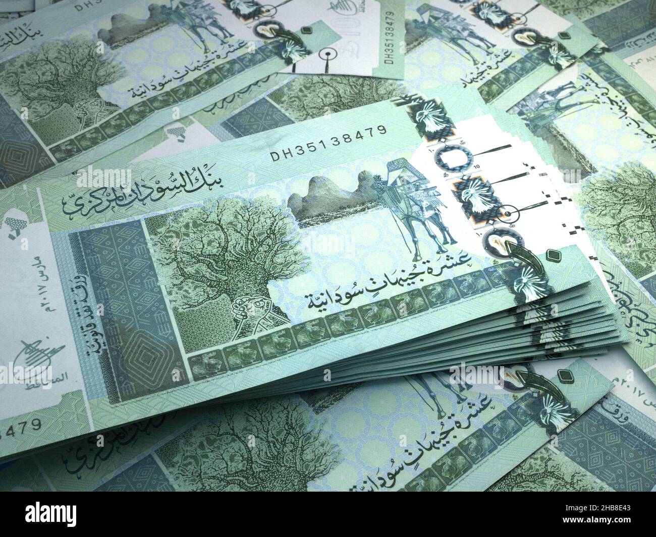 Money of Sudan. Sudanese pound bills. SDG banknotes. 10 pounds ...