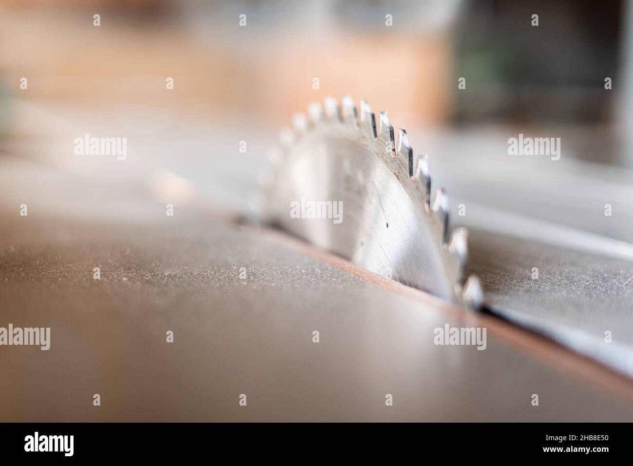 circular wood cutting disc with saw teeth Stock Photo - Alamy