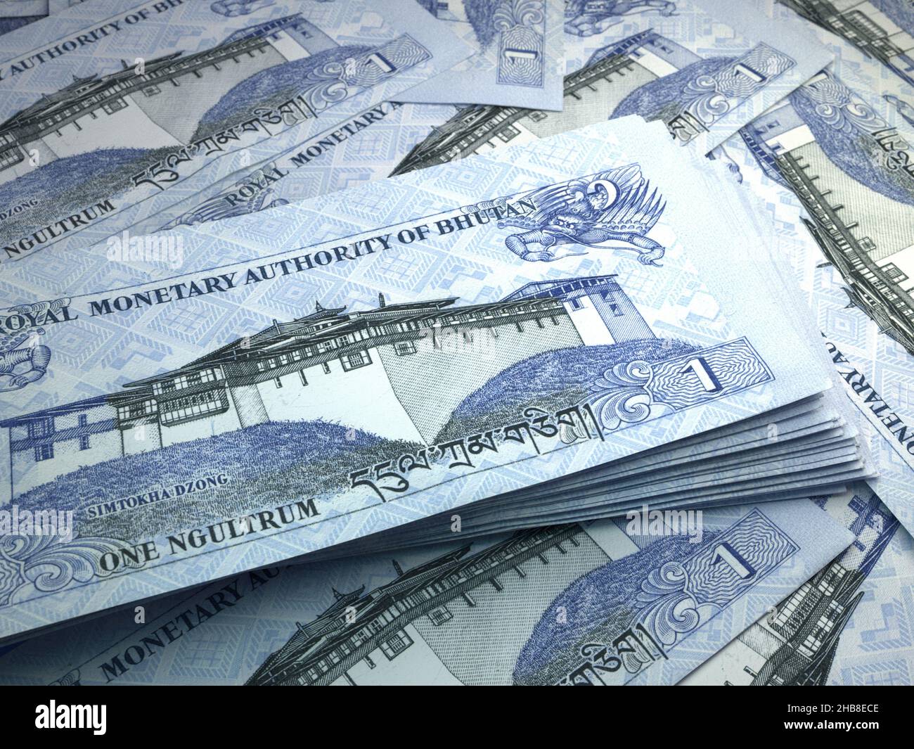 Money of Bhutan. Ngultrum bills. BTN banknotes. 1 Dzongkha. Business ...