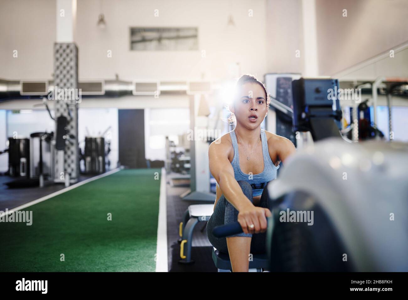 Muscle groups hi-res stock photography and images - Alamy