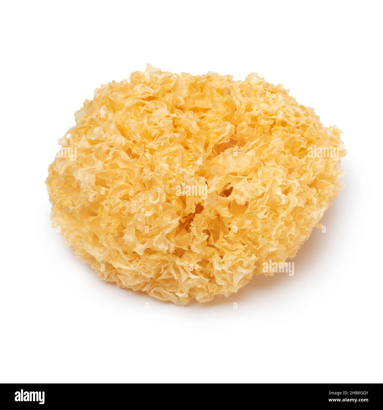 One whole dry mushroom hi-res stock photography and images - Alamy
