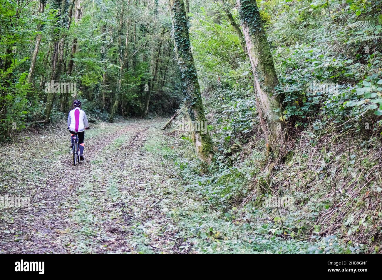 Tramline trail hi-res stock photography and images - Alamy