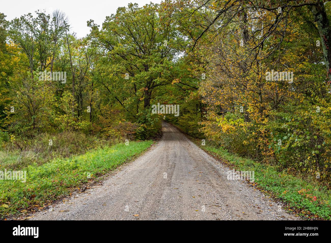 A rural dirt road in Parke County, Indiana during the Autumn leaf color ...