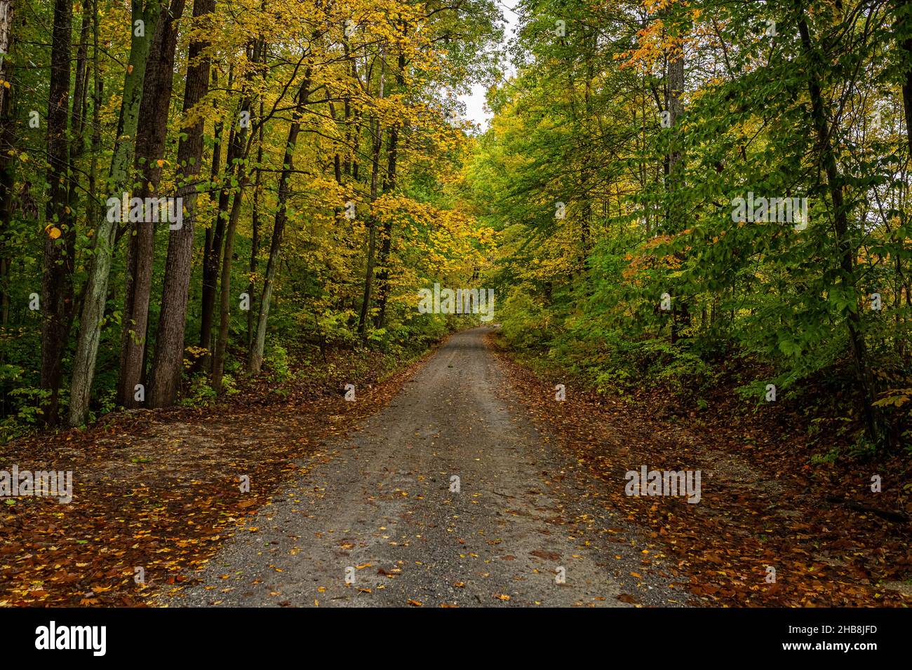 A rural dirt road in Parke County, Indiana during the Autumn leaf color ...