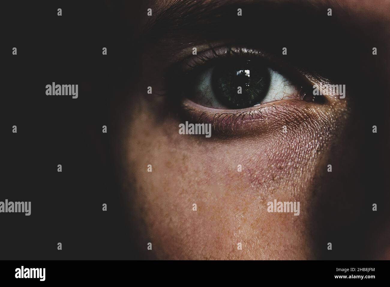 Human Eyes In The Dark