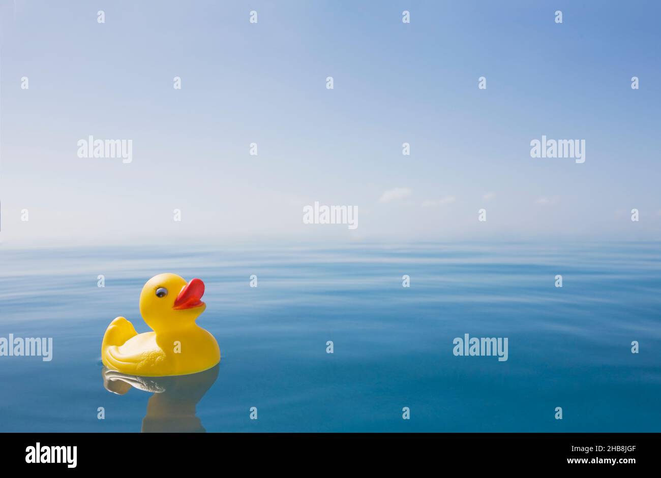 Rubber duck floating on calm water surface Stock Photo - Alamy
