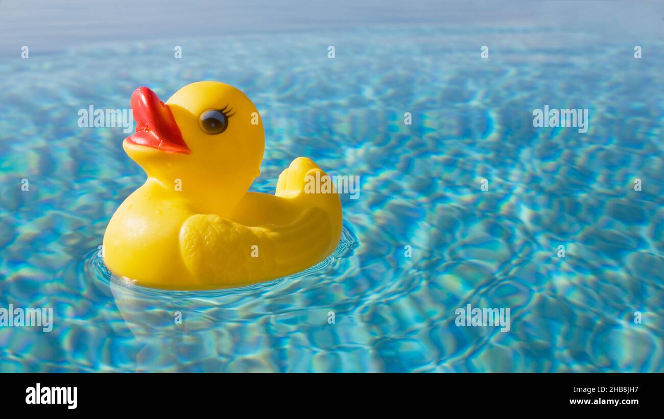 Rubber duck floating on calm water surface Stock Photo - Alamy