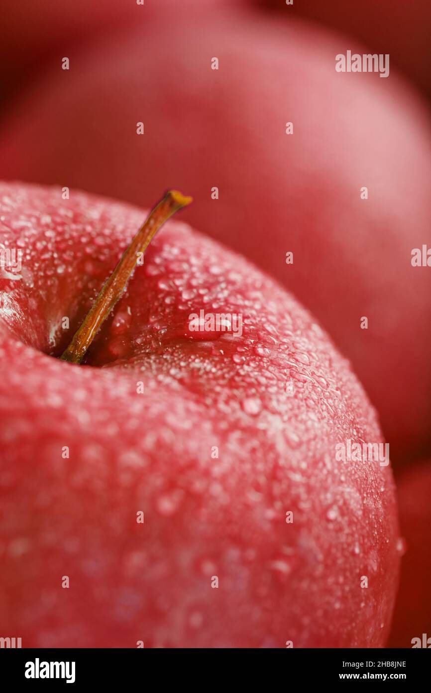 Ripe fruit of a Red apple in close-up with dew drops. Juicy fruit In ...