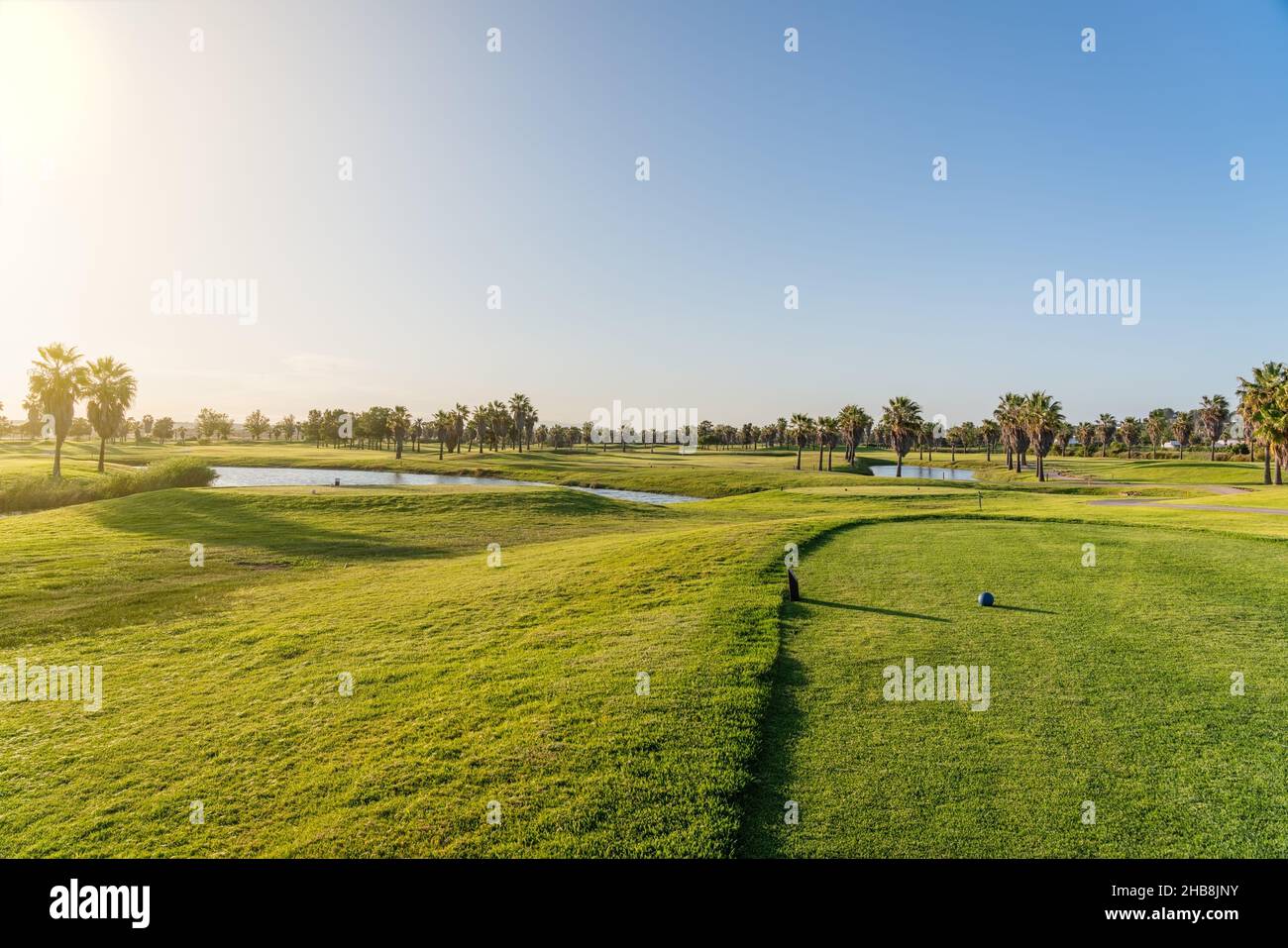 Modern golf courses for tourists with clear ponds and palm trees for ...