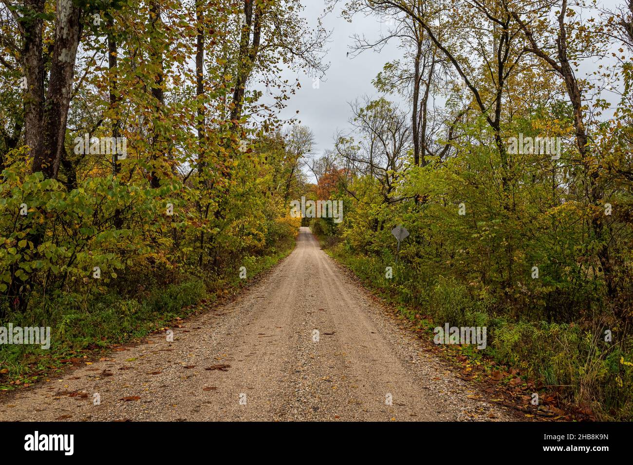 Fall foliage trees indiana county hi-res stock photography and images ...