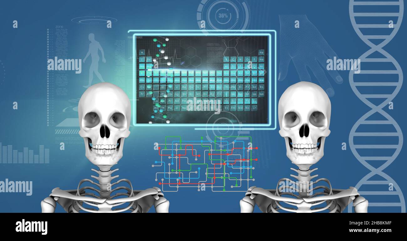 Two human skeleton models and digital interface with medical data ...