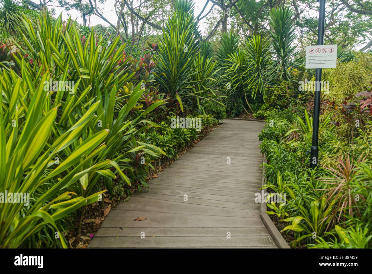 Path in Singapore Botanic Gardens Stock Photo - Alamy