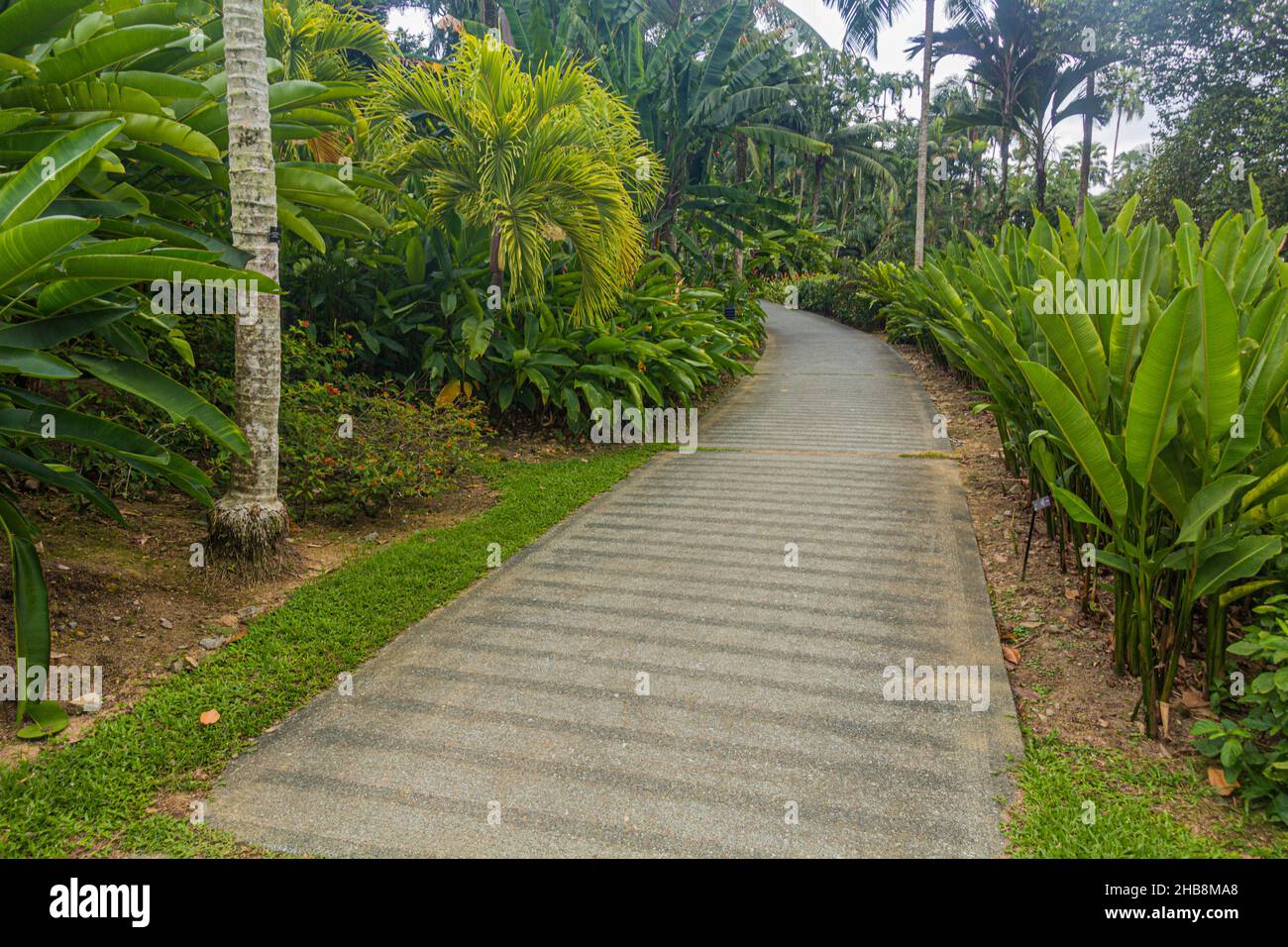Path in Singapore Botanic Gardens Stock Photo - Alamy