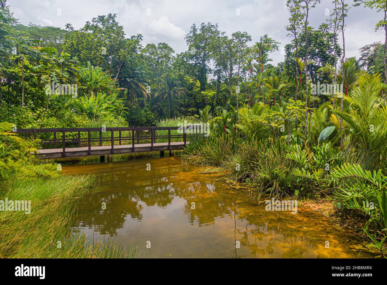 Pond in Singapore Botanic Gardens Stock Photo - Alamy