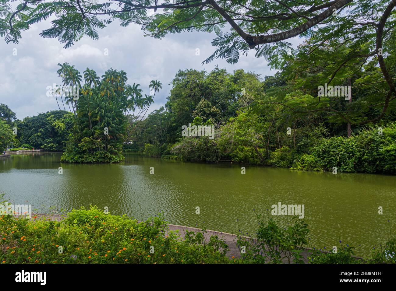Pond in Singapore Botanic Gardens Stock Photo - Alamy
