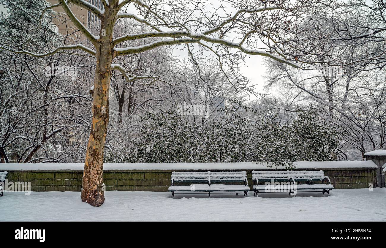 Central Park in winter after snow storm Stock Photo - Alamy