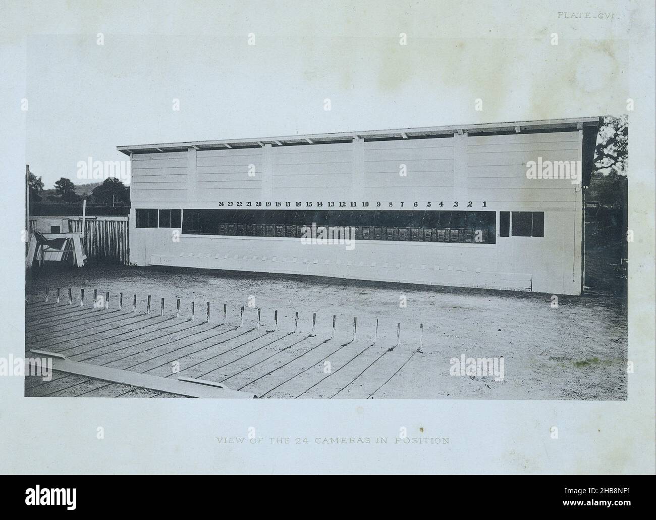 Setup with 24 cameras for photographing running horses, View of the 24 ...