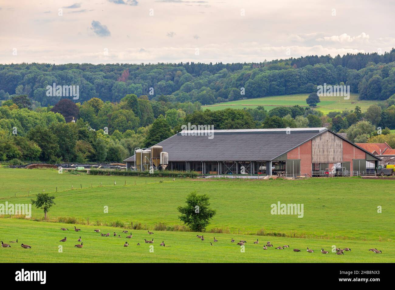Best of Limburg landscape, beautiful green scenery, hills, fields and ...