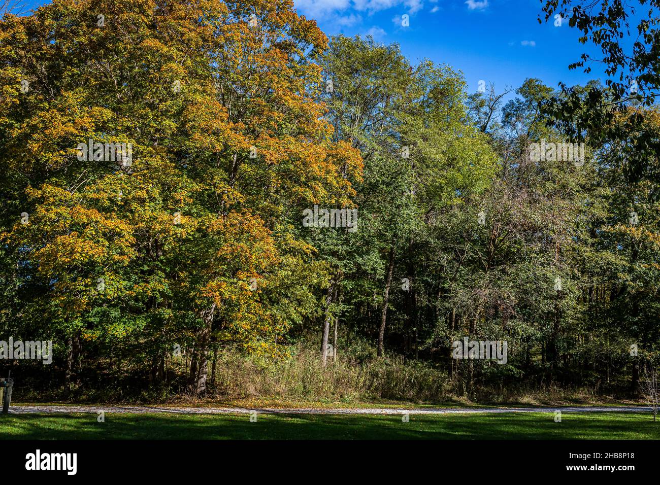An October day in Parke County, Indiana shows the Fall leaf colors ...