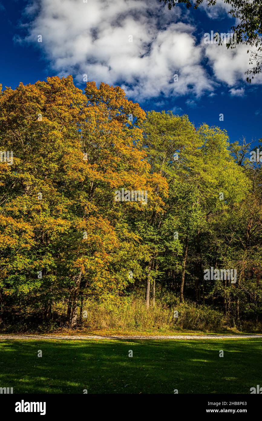 An October day in Parke County, Indiana shows the Fall leaf colors ...