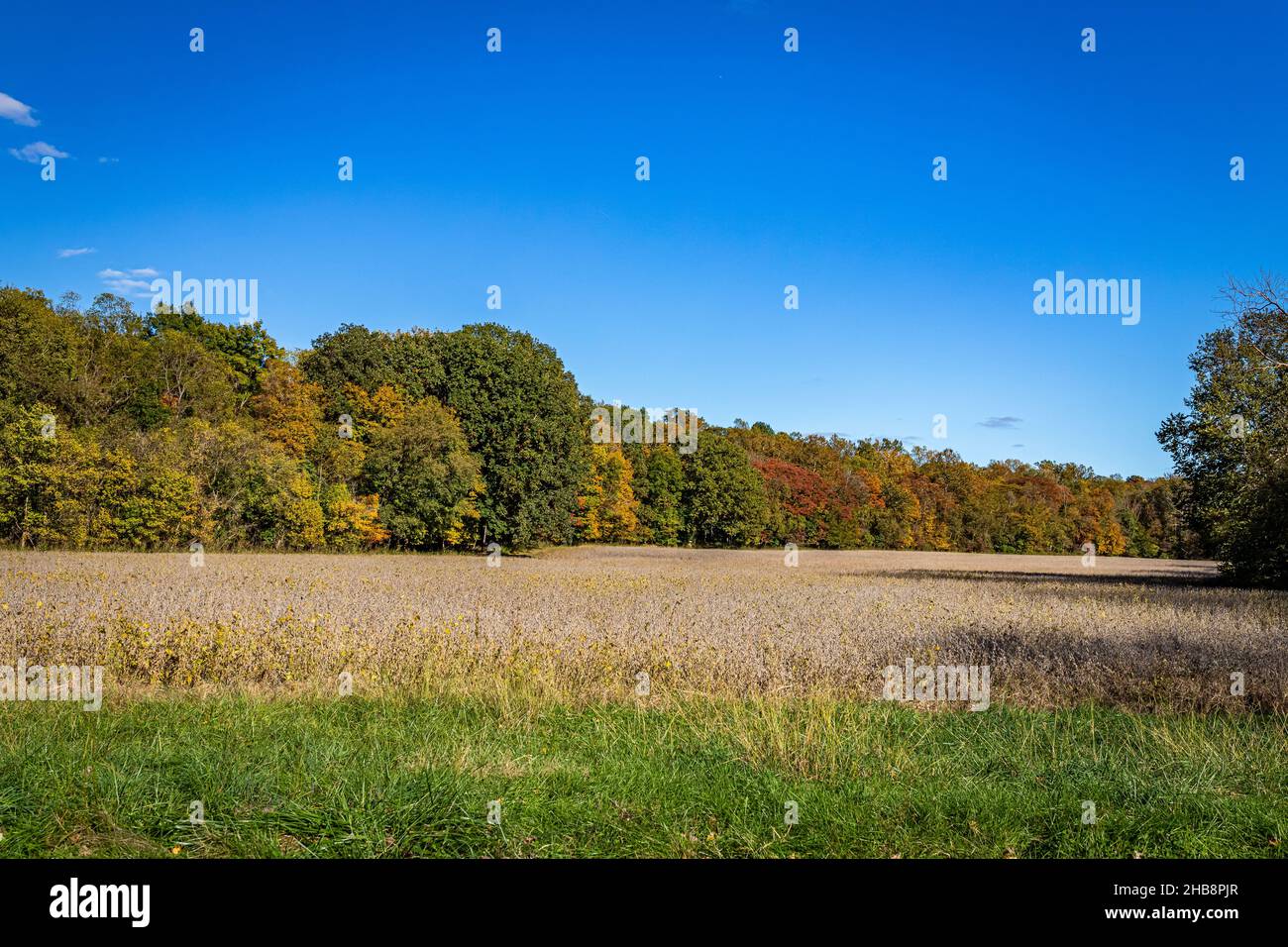 An October day in Parke County, Indiana shows the Fall leaf colors ...