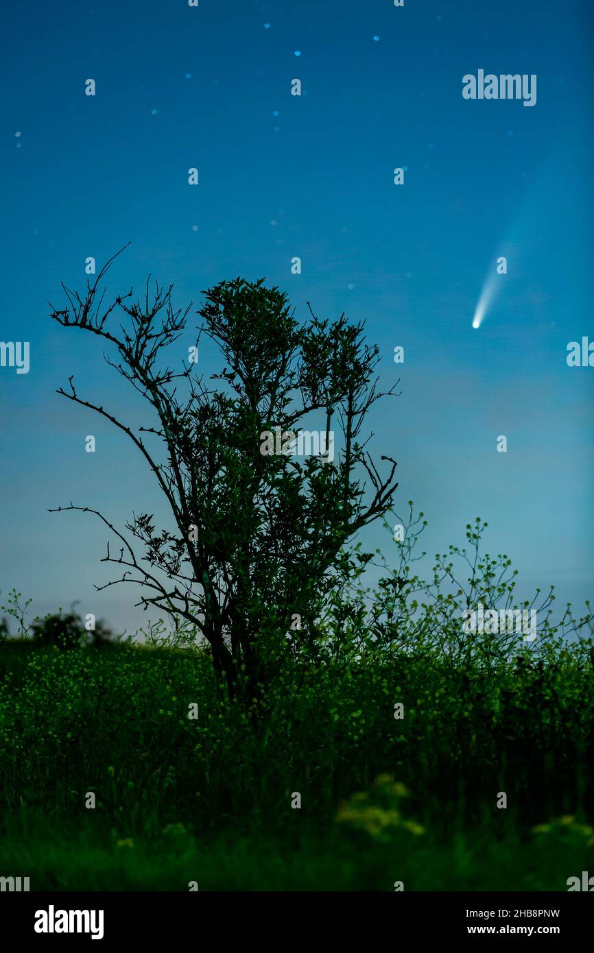 Meteor, shooting star or falling star seen in a night sky landscape ...