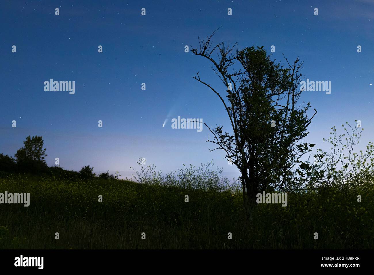 Meteor, shooting star or falling star seen in a night sky landscape ...