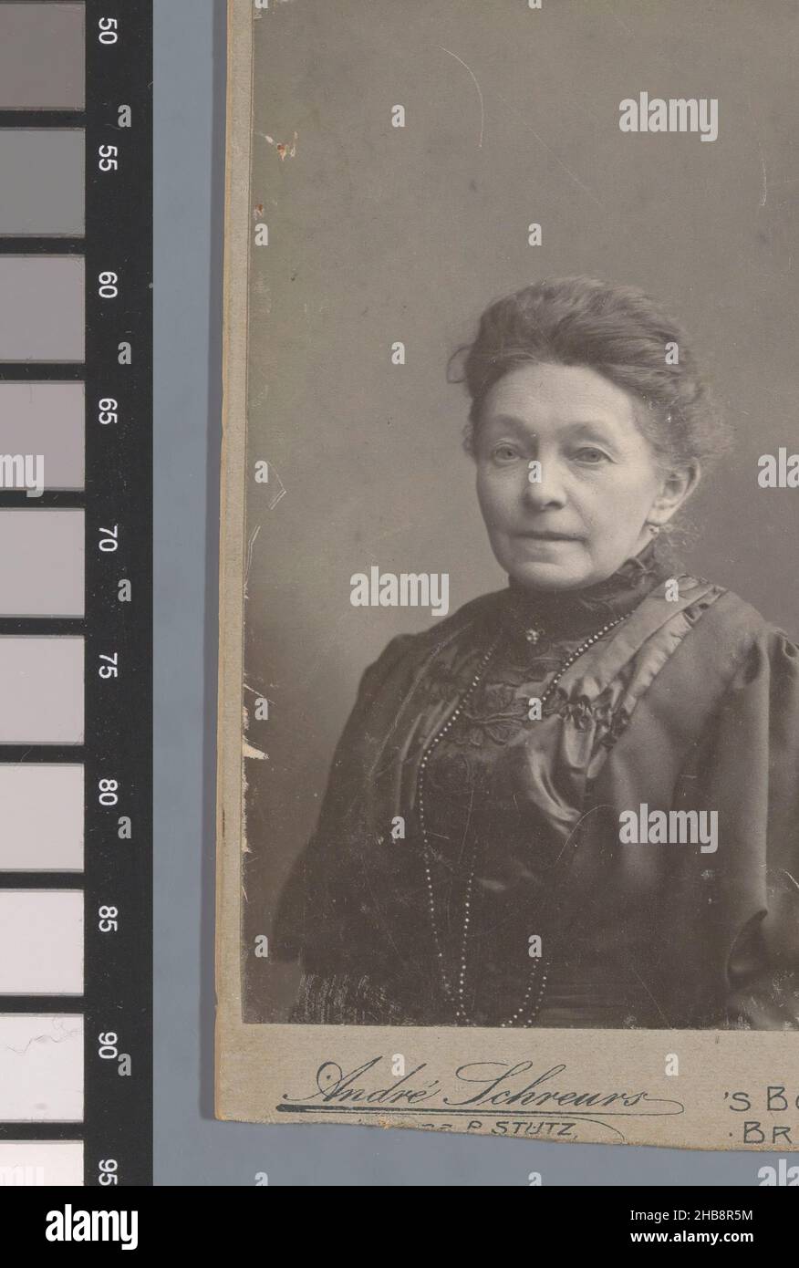 Schreurs hi-res stock photography and images - Alamy