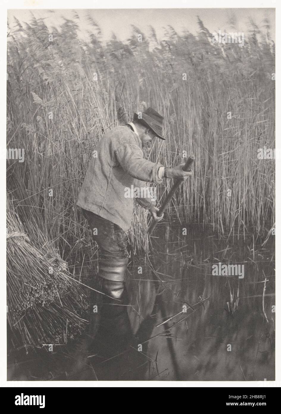 Reed-cutter at the Norfolk Broads, A Reed-Cutter at Work (original ...