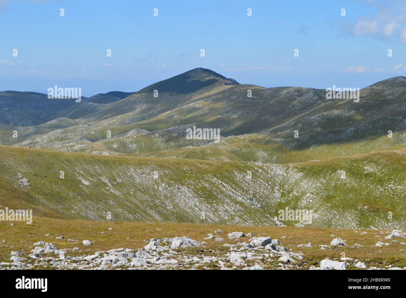 Zuti cvijet hi-res stock photography and images - Alamy