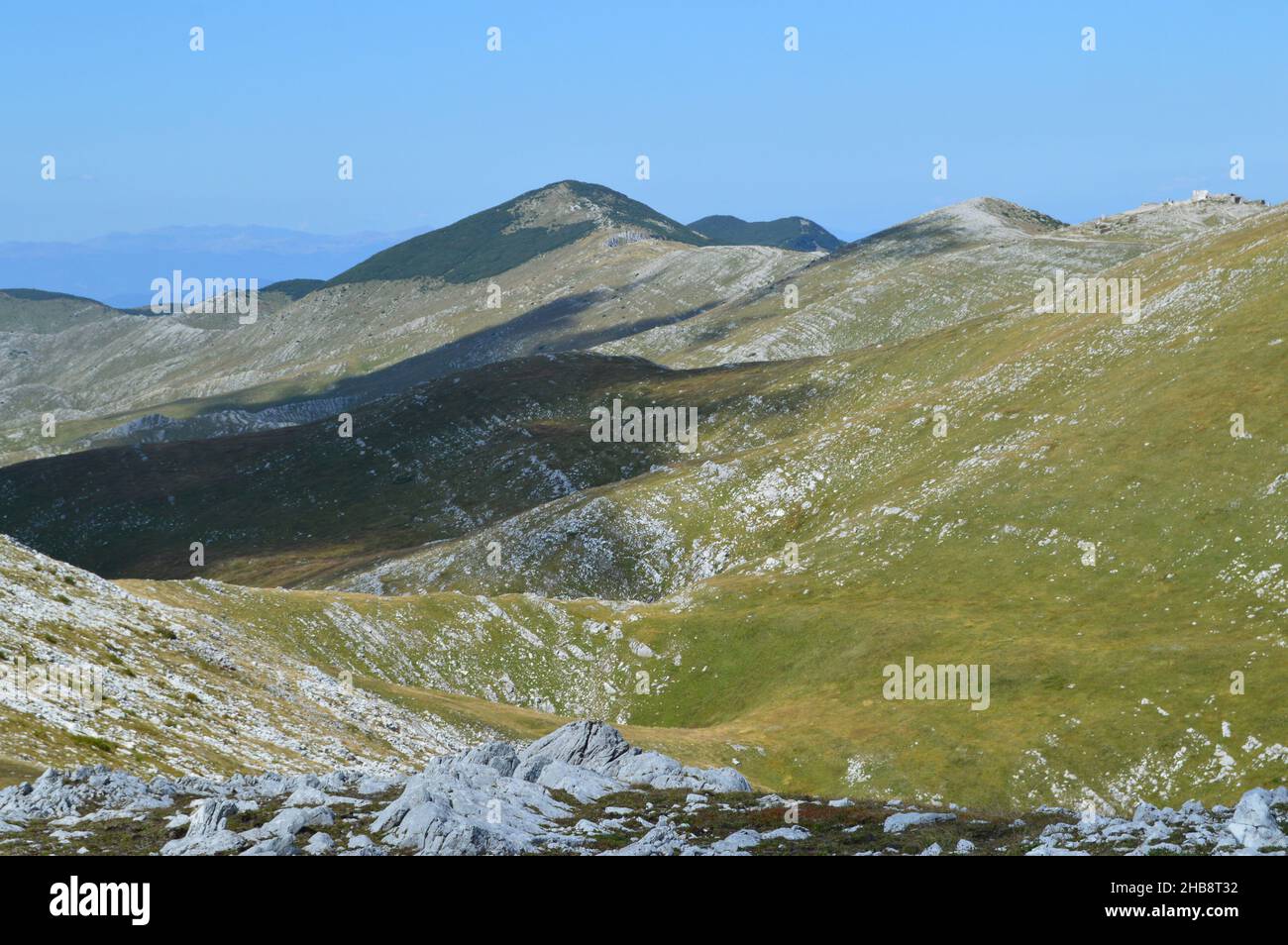 Zuti cvijet hi-res stock photography and images - Alamy