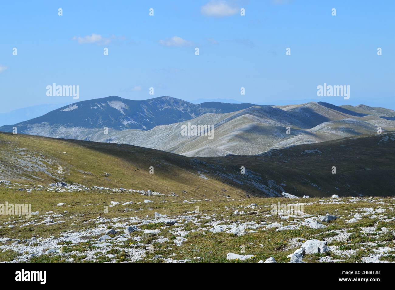 Zuti cvijet hi-res stock photography and images - Alamy