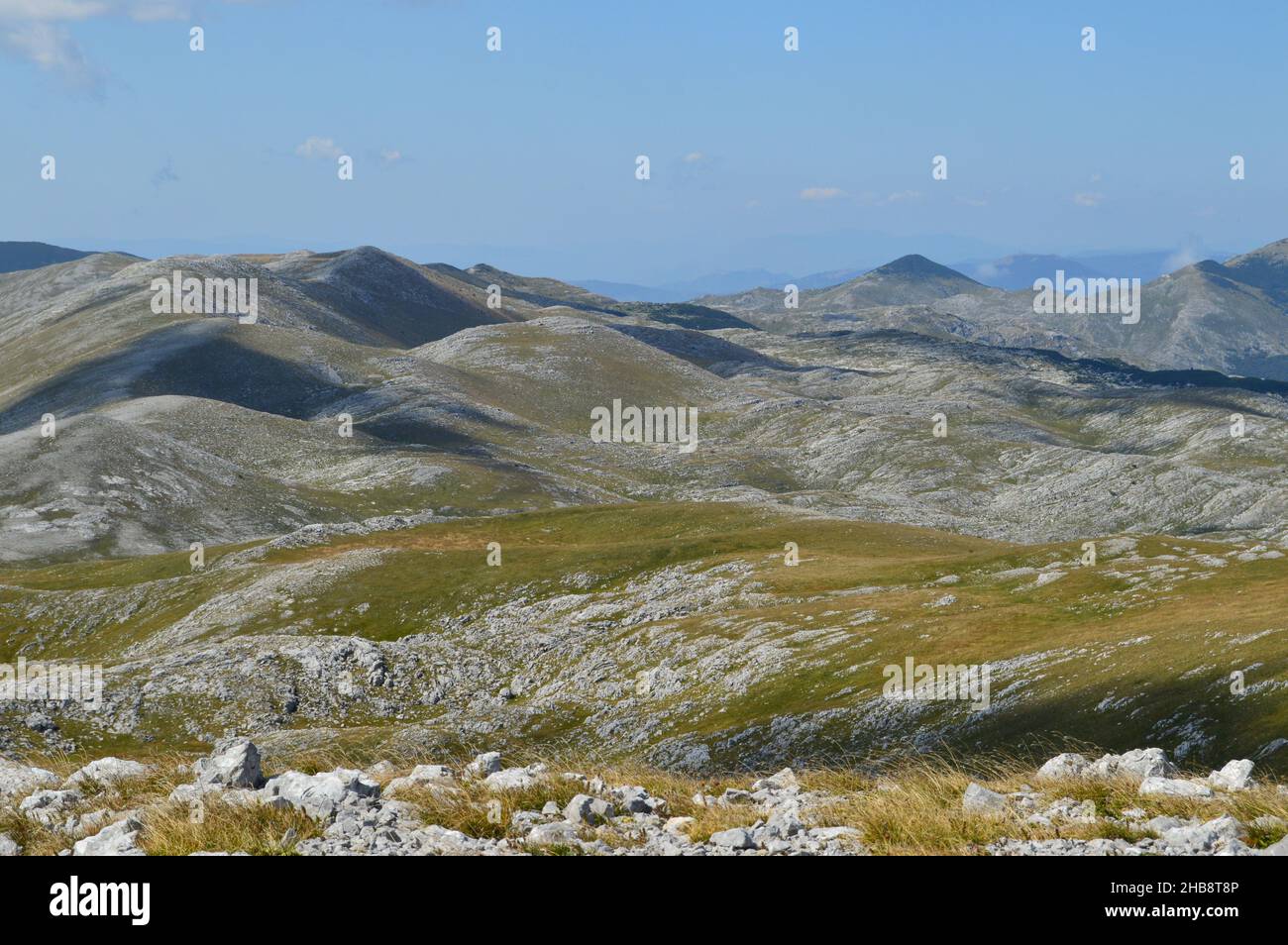 Zuti cvijet hi-res stock photography and images - Alamy
