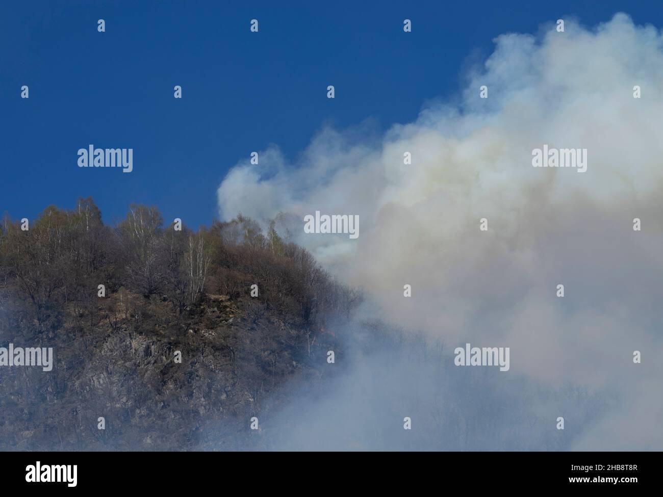 Los angeles fire destruction hi-res stock photography and images - Alamy