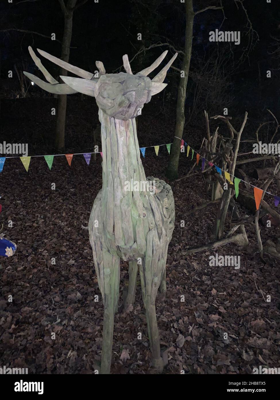 Waddeston Manor Aylesbury Christmas lights Rain dear horns bright ...