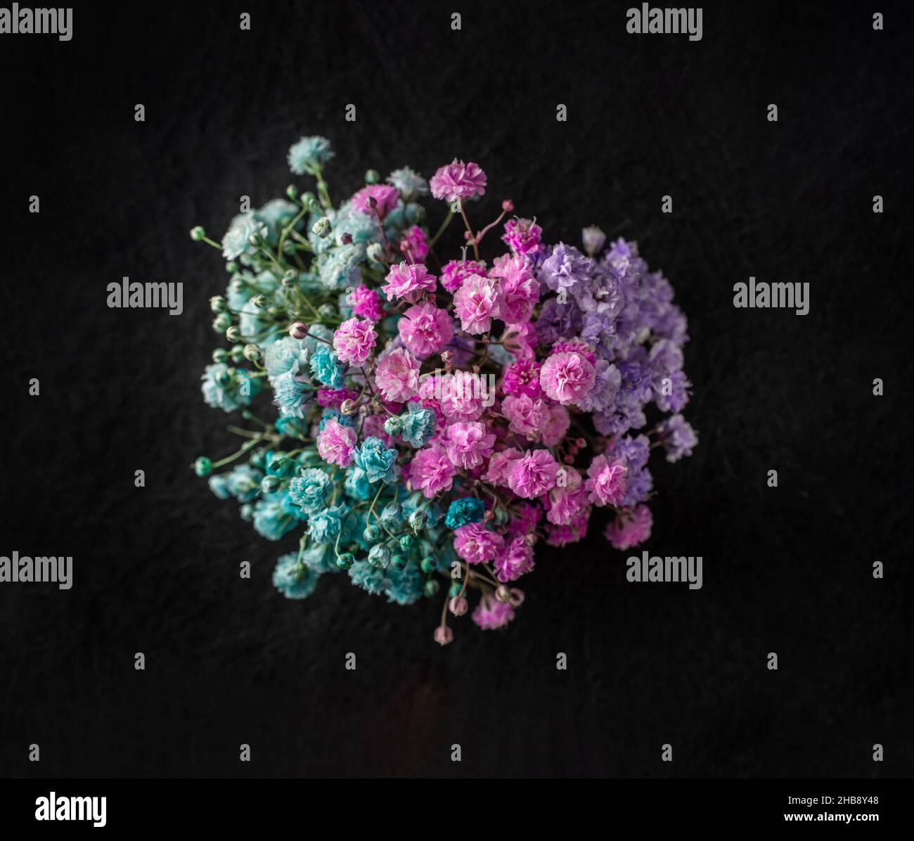 Top view of a flower on black background. Photo from above Stock Photo ...