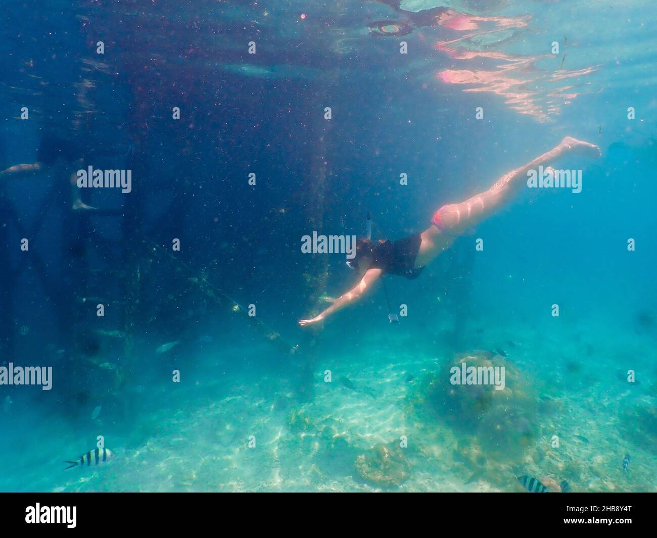 Female diver swiming with colorful fish near coral reefs underwater in ...