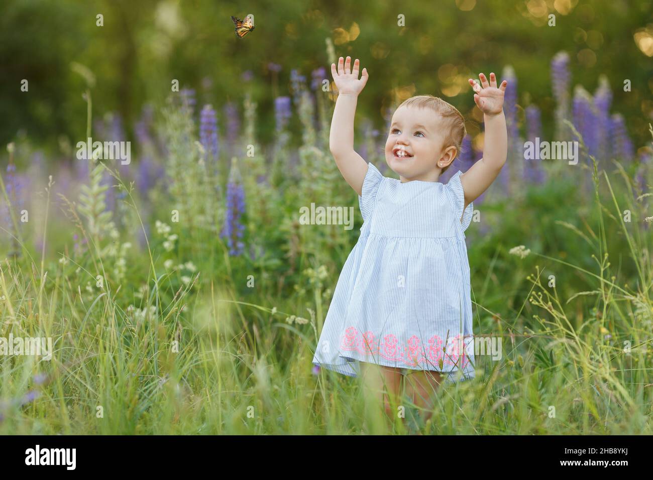 Girl catching butterfly hi-res stock photography and images - Alamy