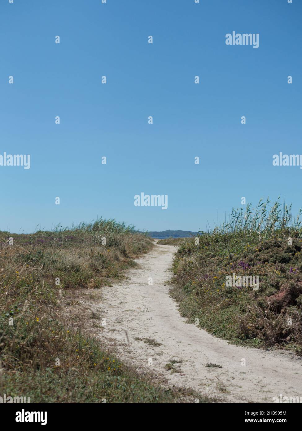 Beautiful view of a pathway leading to the North Atlantic Ocean on the ...