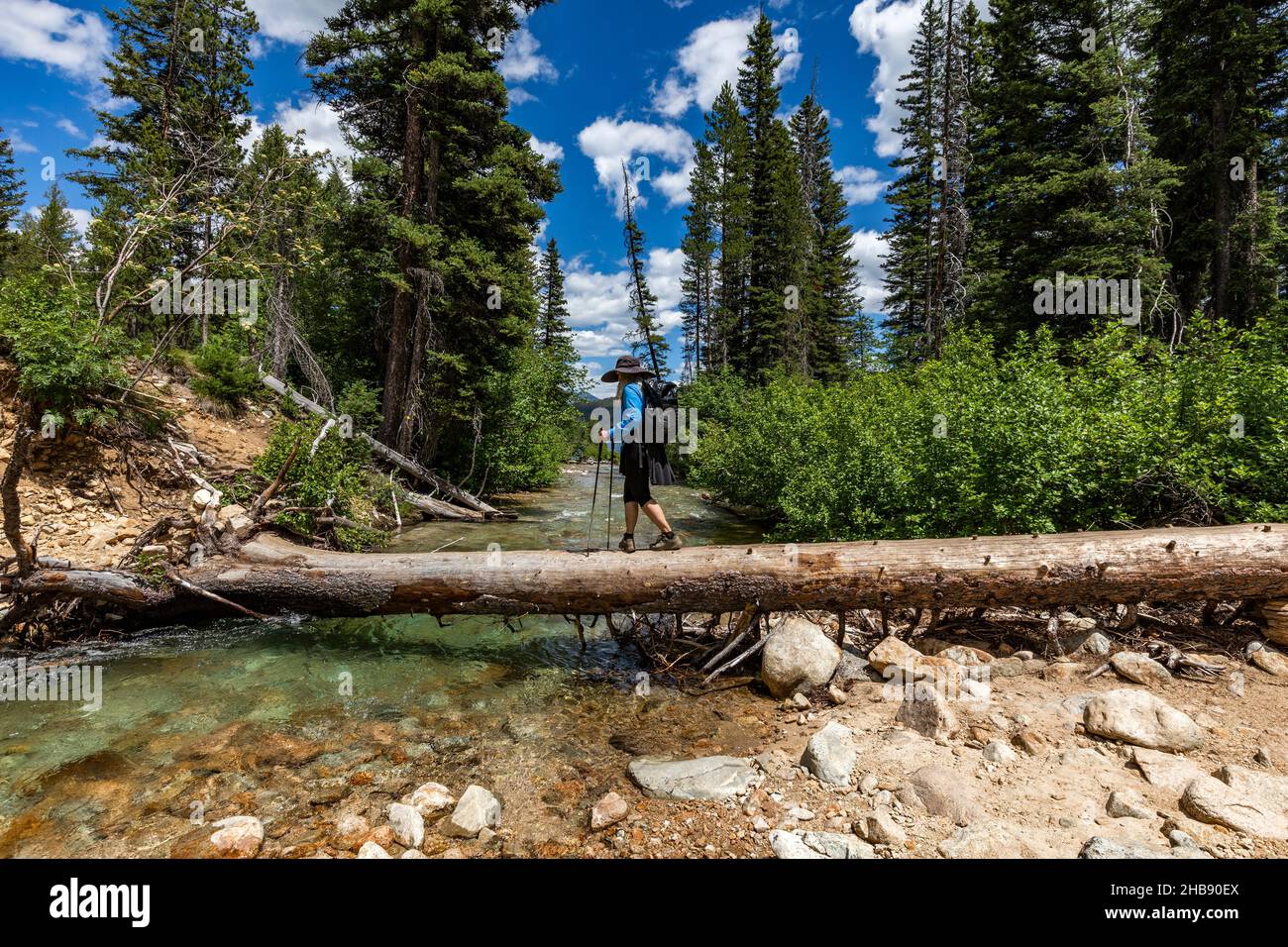 USA, Idaho, Stanley, Woman hiker walking across fallen tree over stream ...