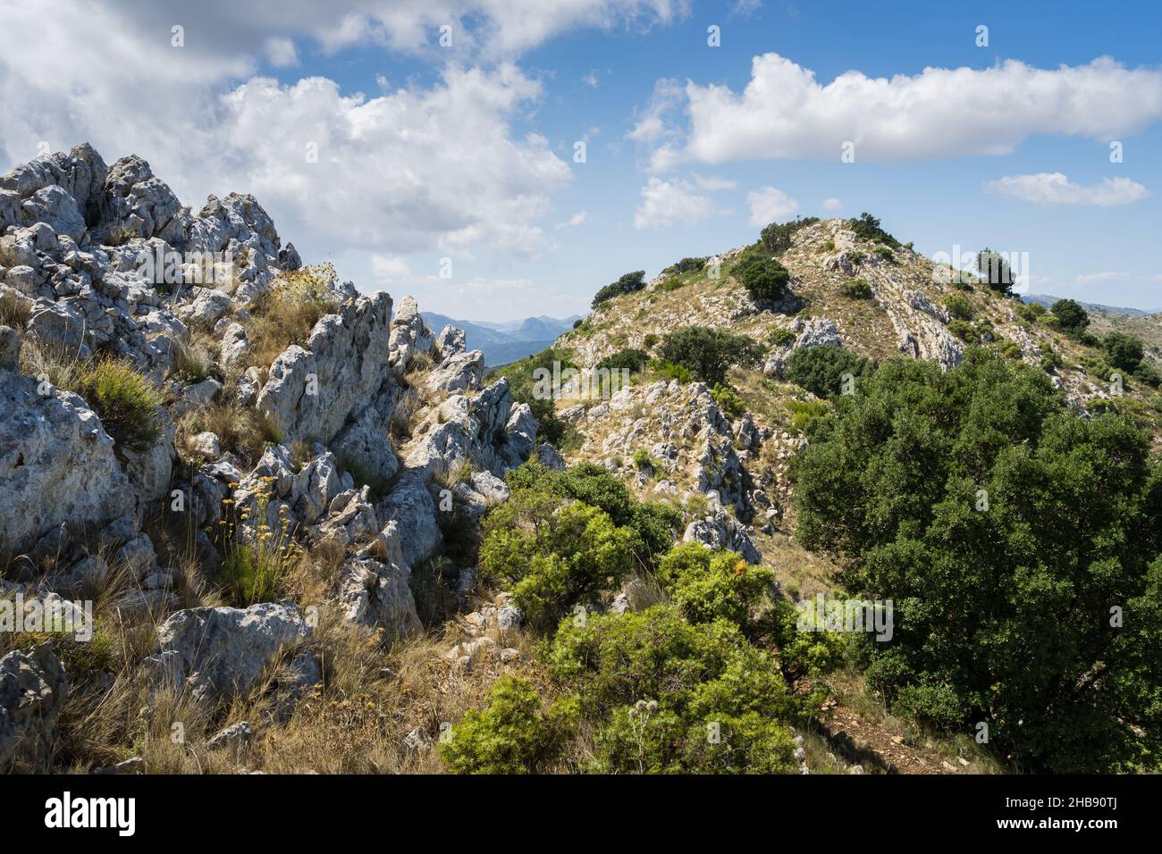 Hike in nature hi-res stock photography and images - Alamy