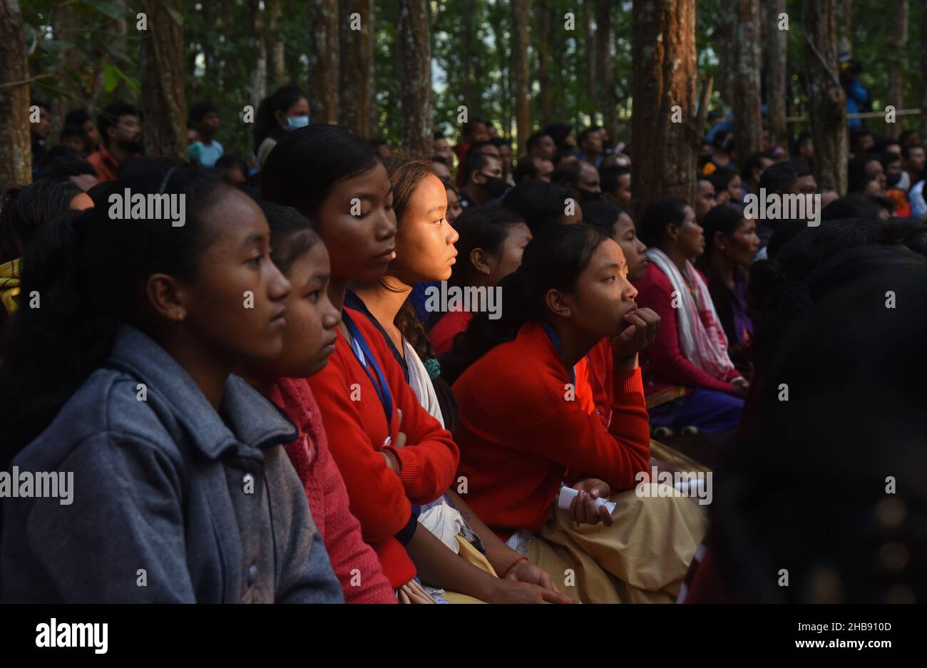 Lower assam hi-res stock photography and images - Alamy