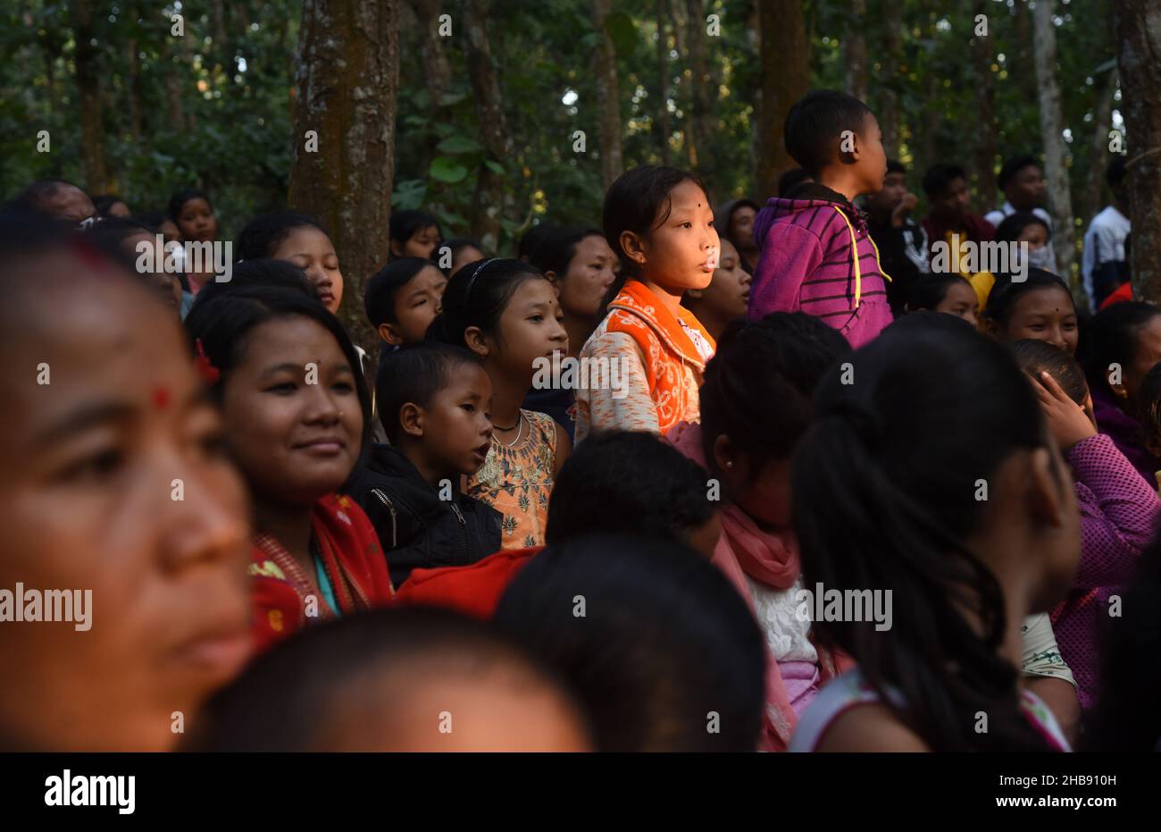 Lower assam hi-res stock photography and images - Alamy