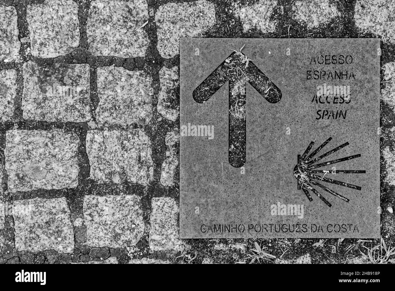 Camino de santiago road sign with shell symbol Black and White Stock ...