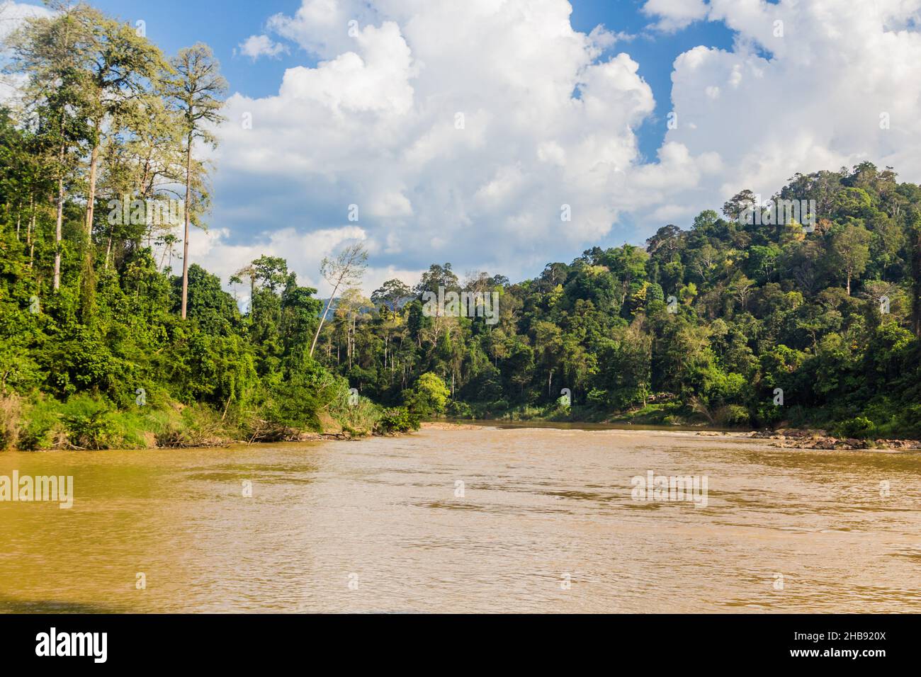 Tembeling river in Taman Negara national park, Malaysia Stock Photo - Alamy