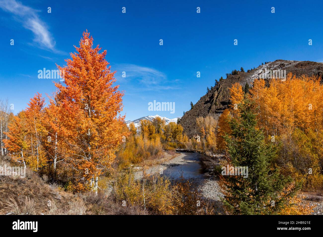 USA, Idaho, Ketchum, Fall foliage in mountains near Sun Valley Stock ...