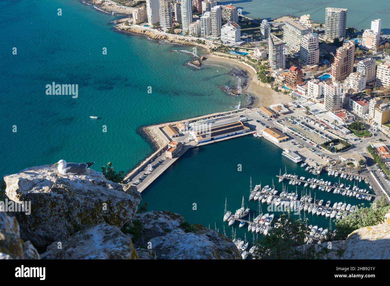aerial view of urban architecture and the marina of Calpe beautiful ...