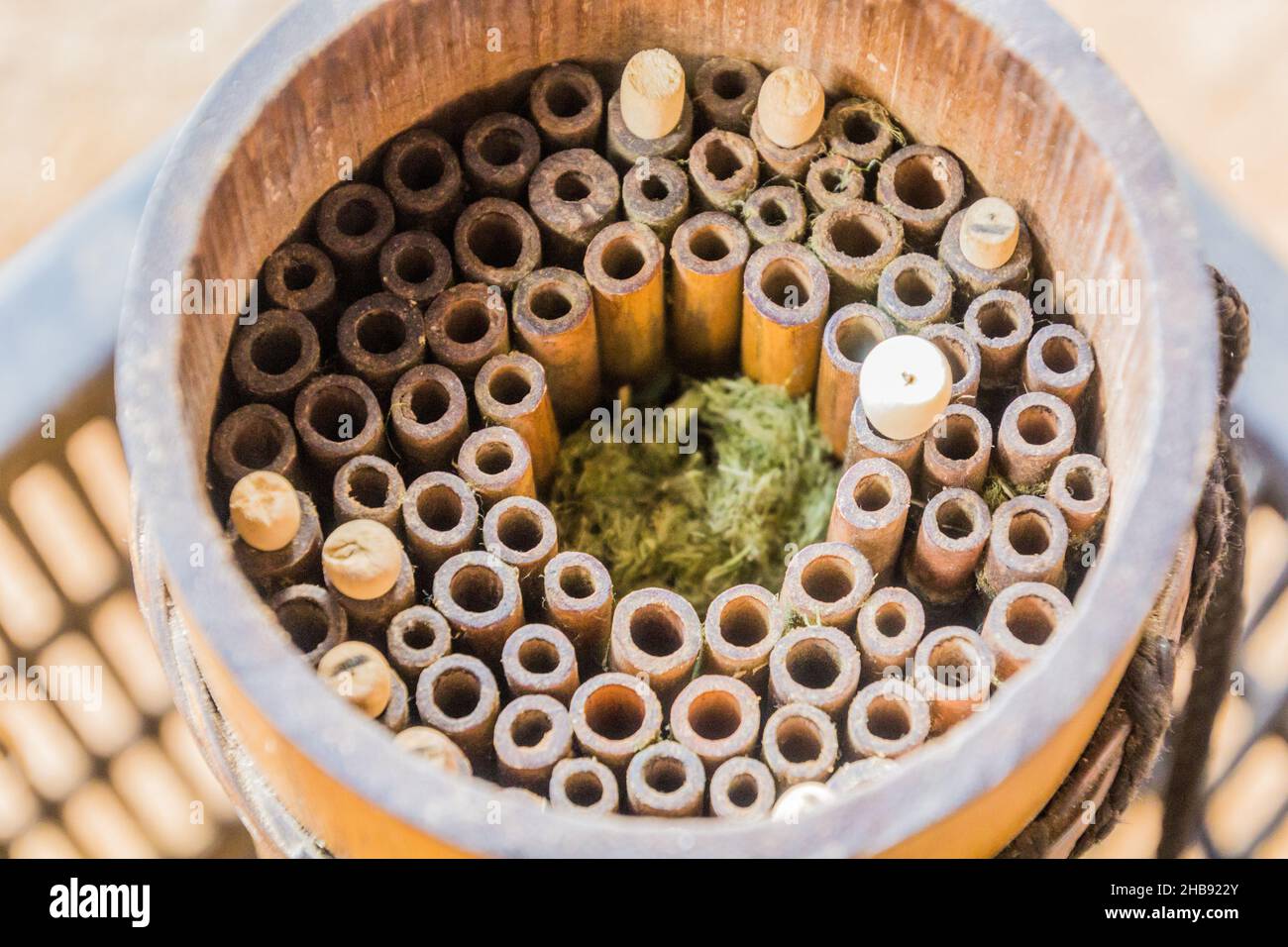 Quiver with blowpipe darts in an indigenous village in Taman Negara ...