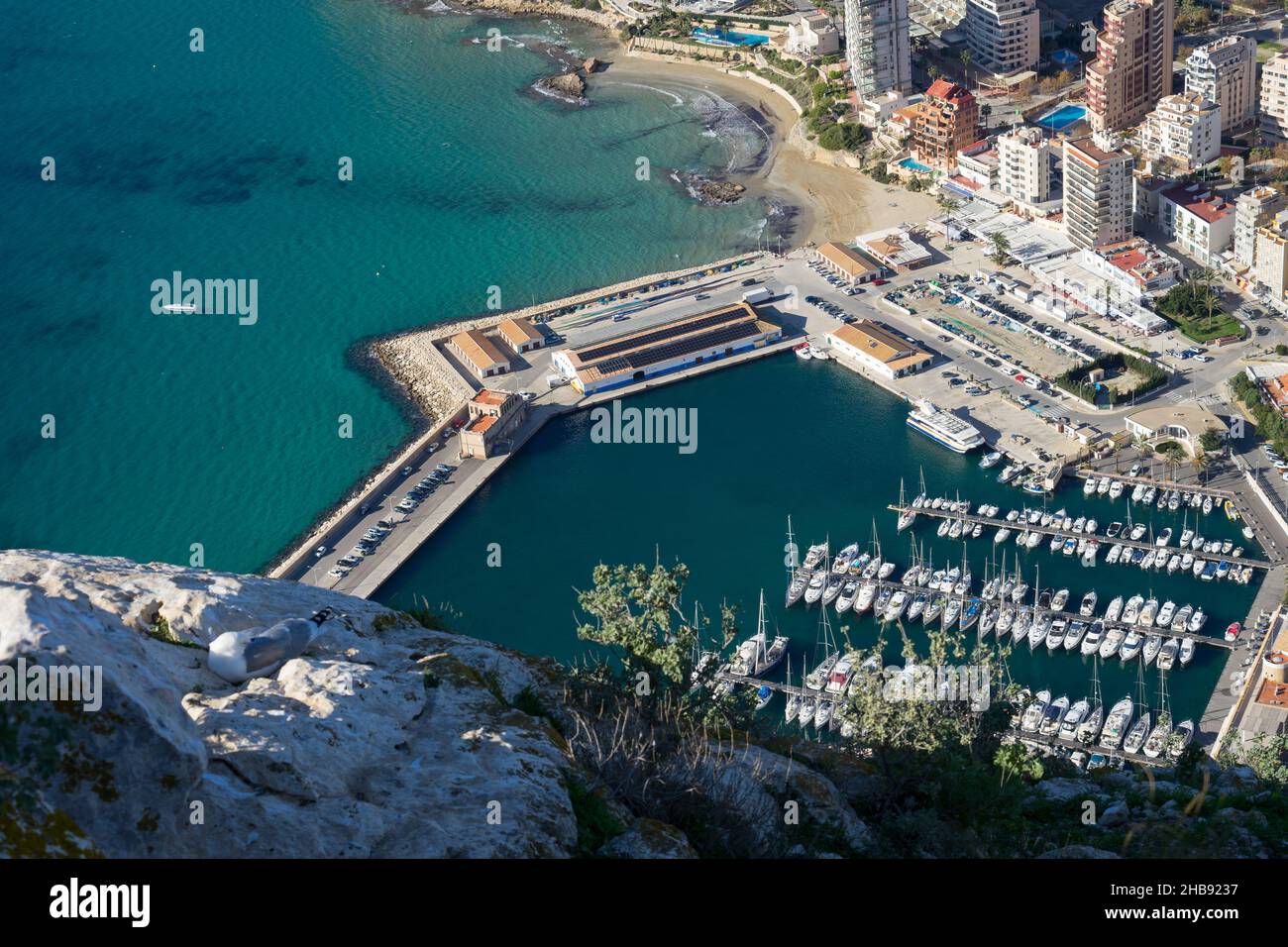 aerial view of urban architecture and the marina of Calpe beautiful ...